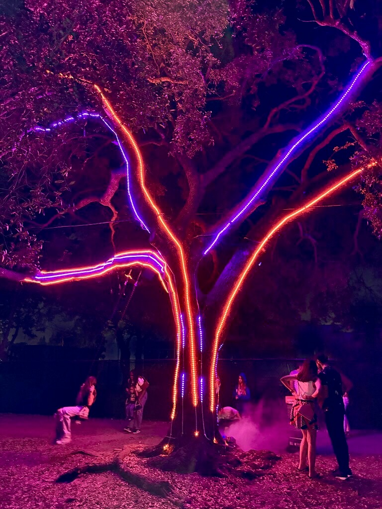 Grow a Light – Grow a Tree - Tine Bech Studio