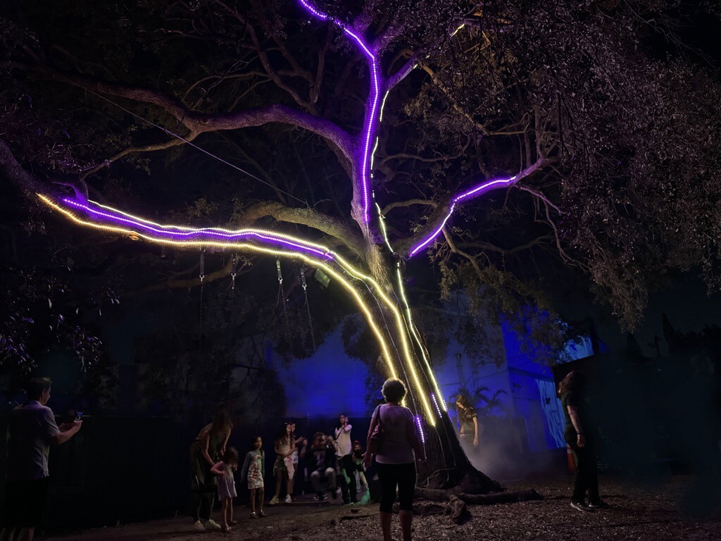 Grow a Light – Grow a Tree - Tine Bech Studio
