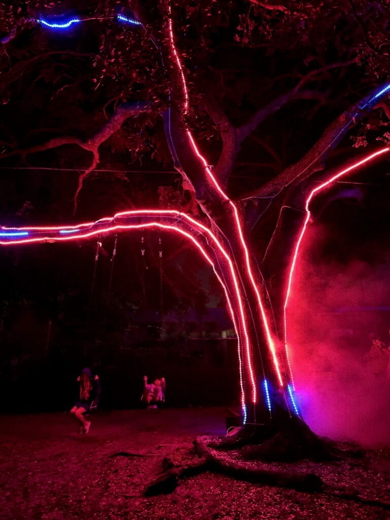 Grow a Light – Grow a Tree - Tine Bech Studio